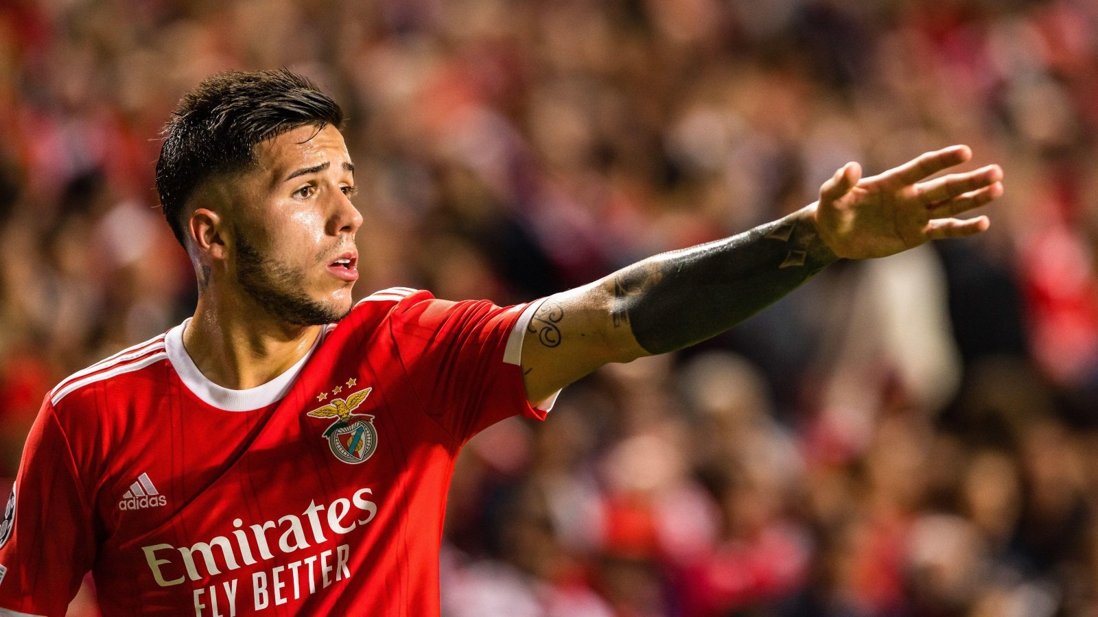 Chelsea Deal With Enzo Fernandez Meets Dead End | EveryEvery